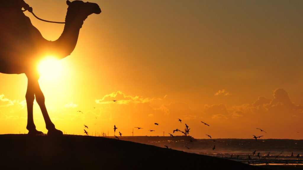 The Importance Of Light In Photography | Images Redefined